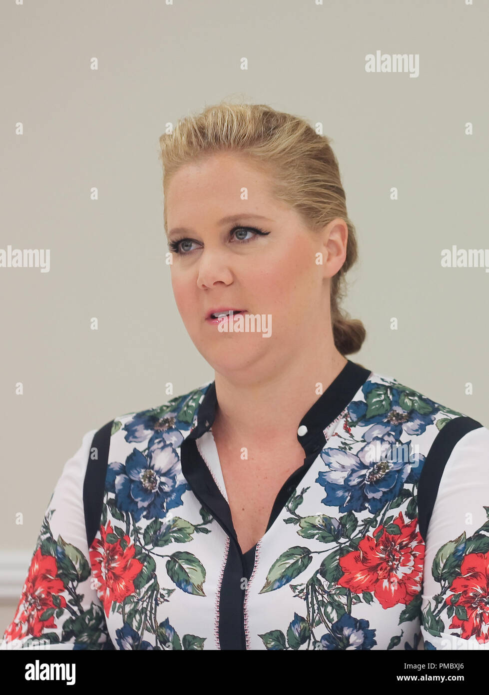 Schumer hi-res stock photography and images - Alamy