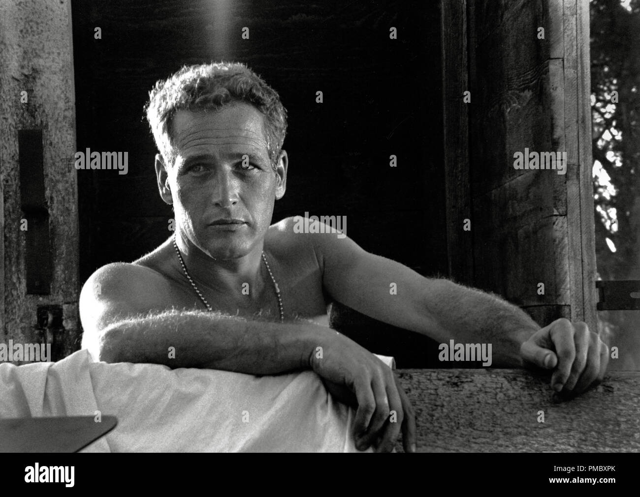 Cool hand luke paul newman hi-res stock photography and images - Alamy