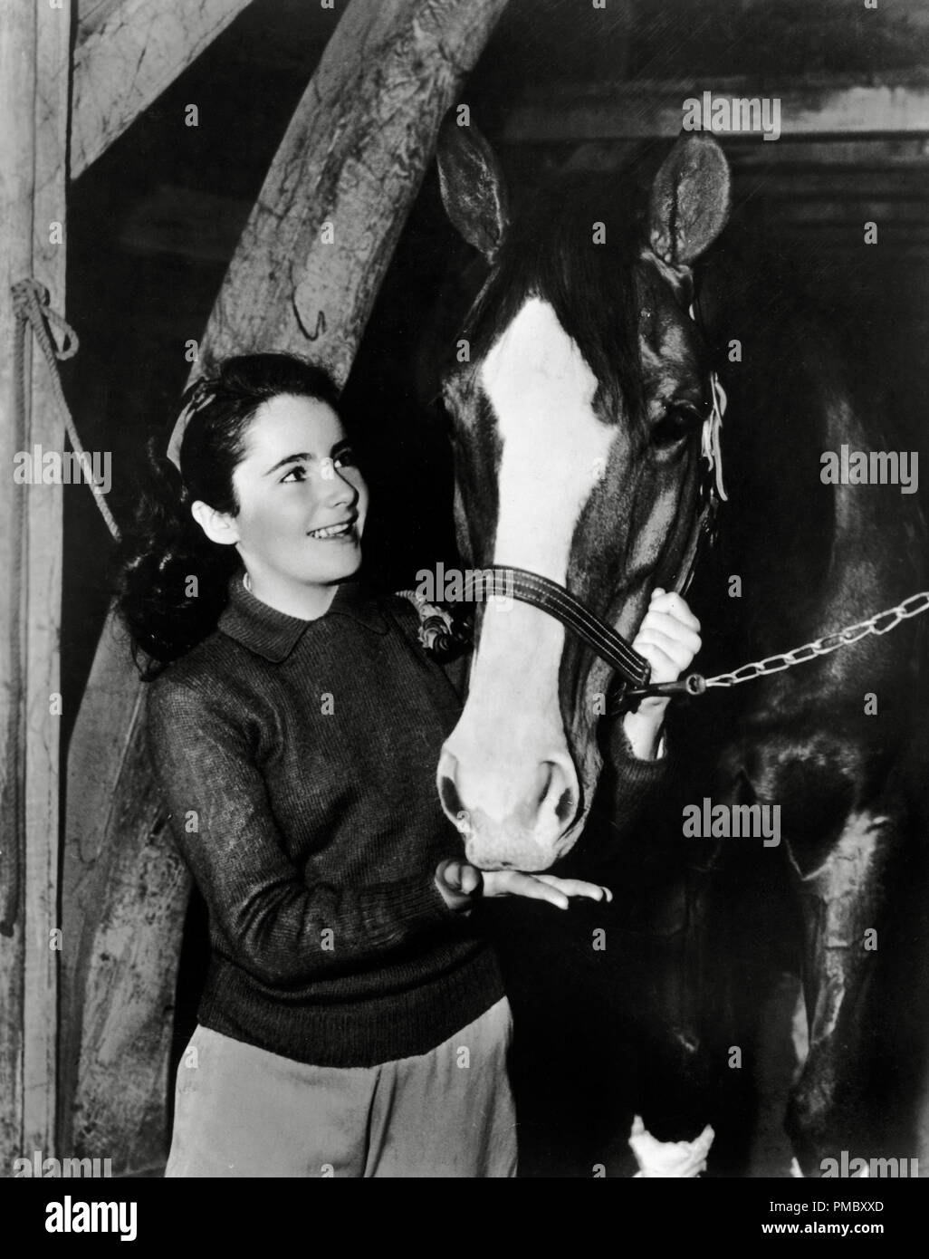 National Velvet Film
