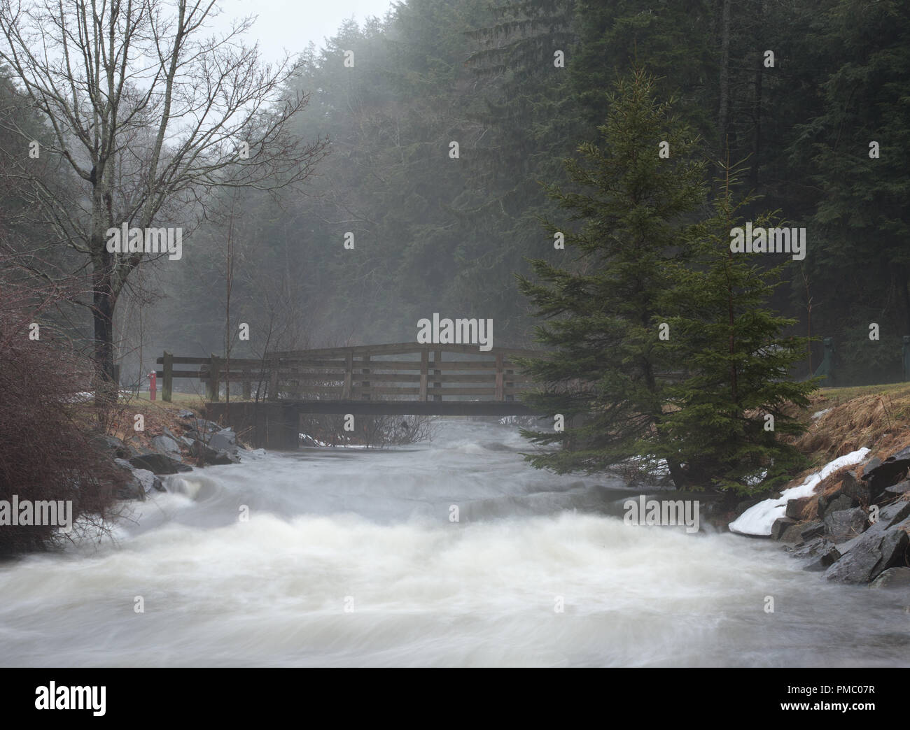 Fast flowing brook with footbridge in background on foggy day. Victoria ...