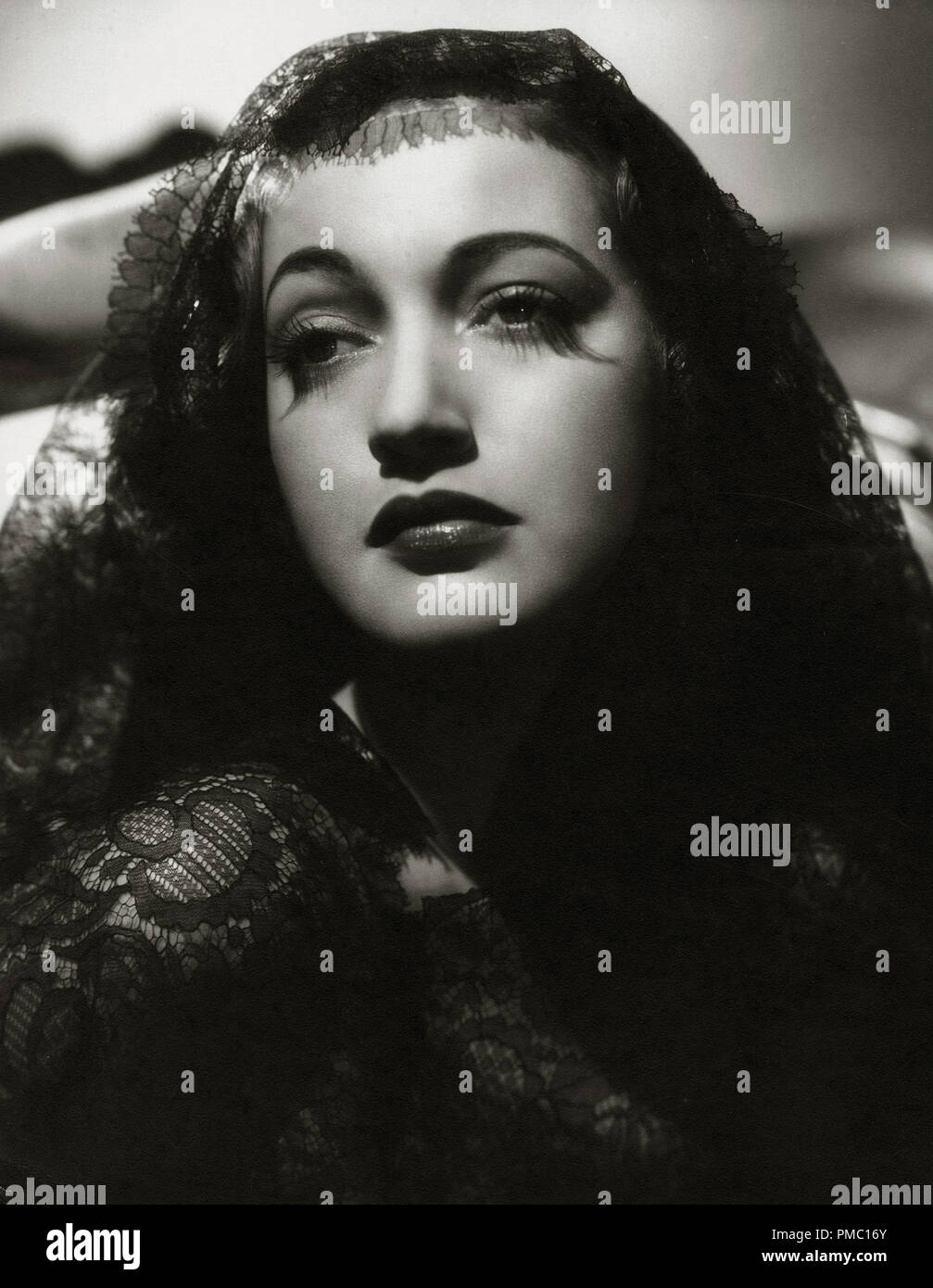 Ellie Schaefer's Instagram, Twitter & Facebook on IDCrawl