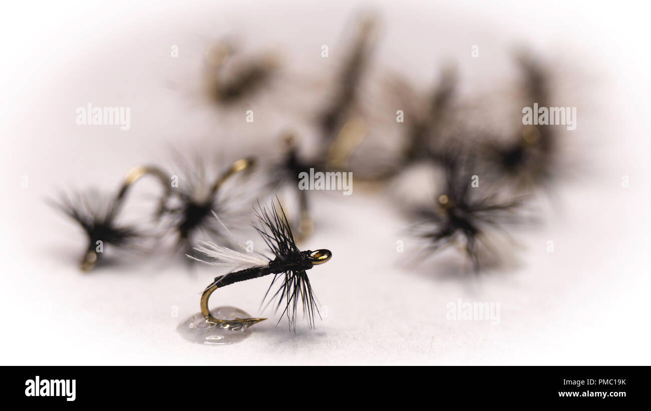 Trout flies hi-res stock photography and images - Alamy