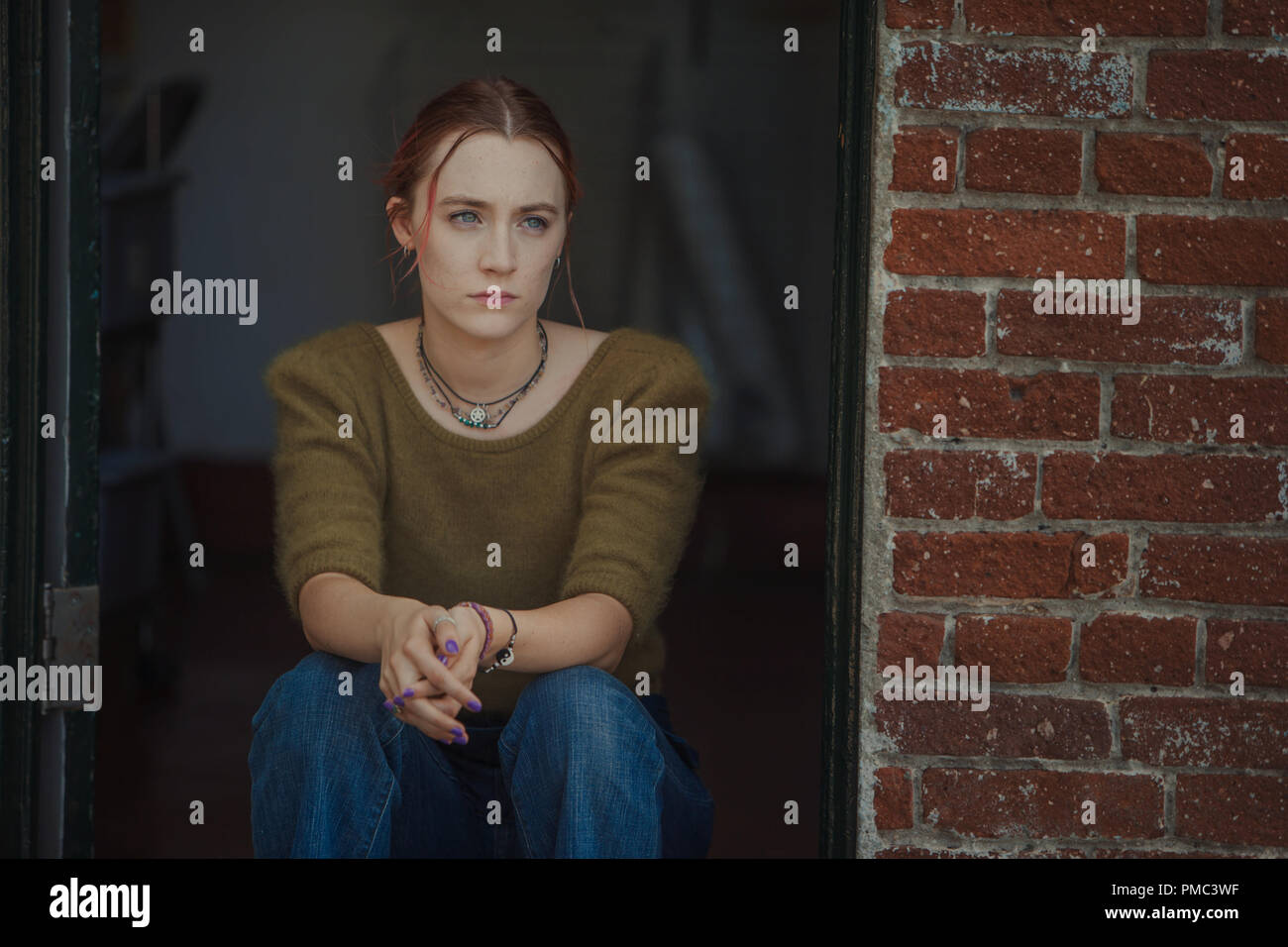 Lady Bird Saoirse High Resolution Stock Photography and Images - Alamy