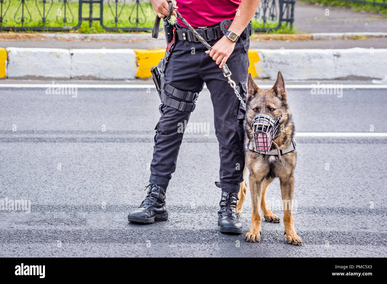 A Turkish police officer holds black security dog on road side to ...