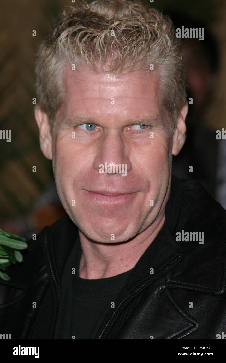 "Fifty First Dates" Premiere 02/03/2004 Ron Pearlman Photo by Joseph ...