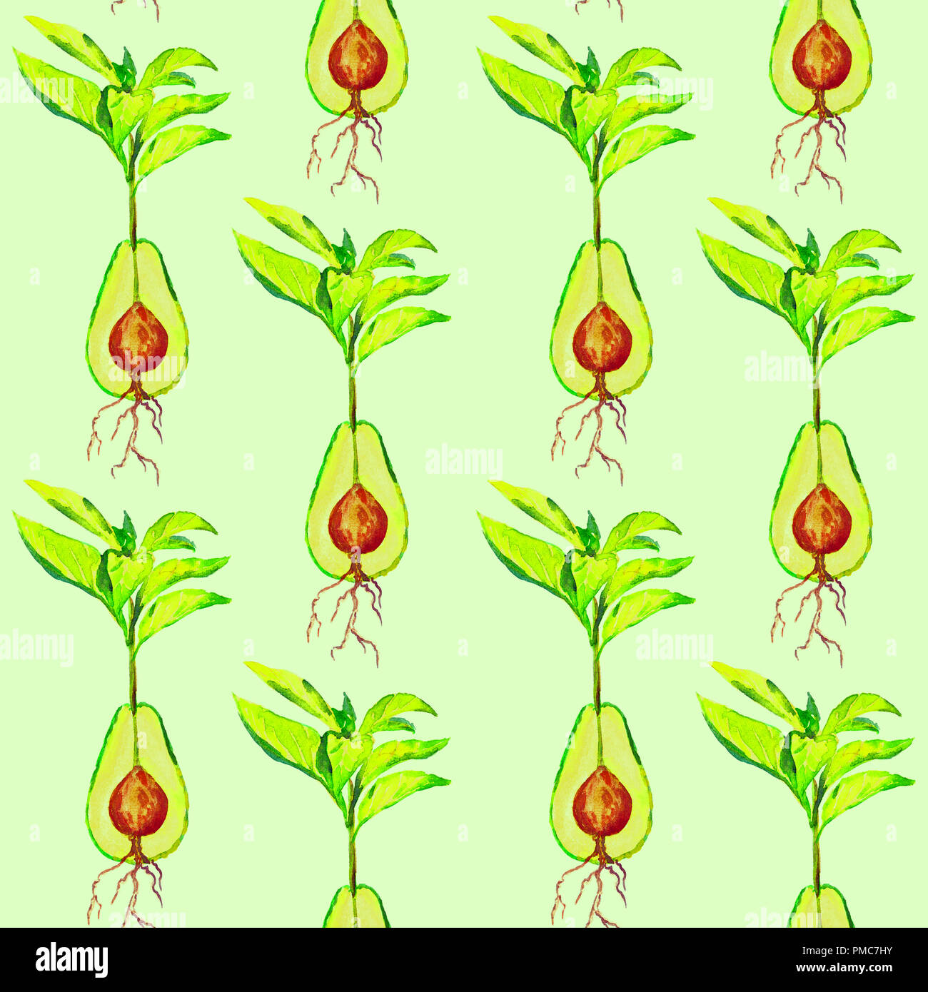 Green Avocado sprouts with roots, seamless pattern design, hand painted ...