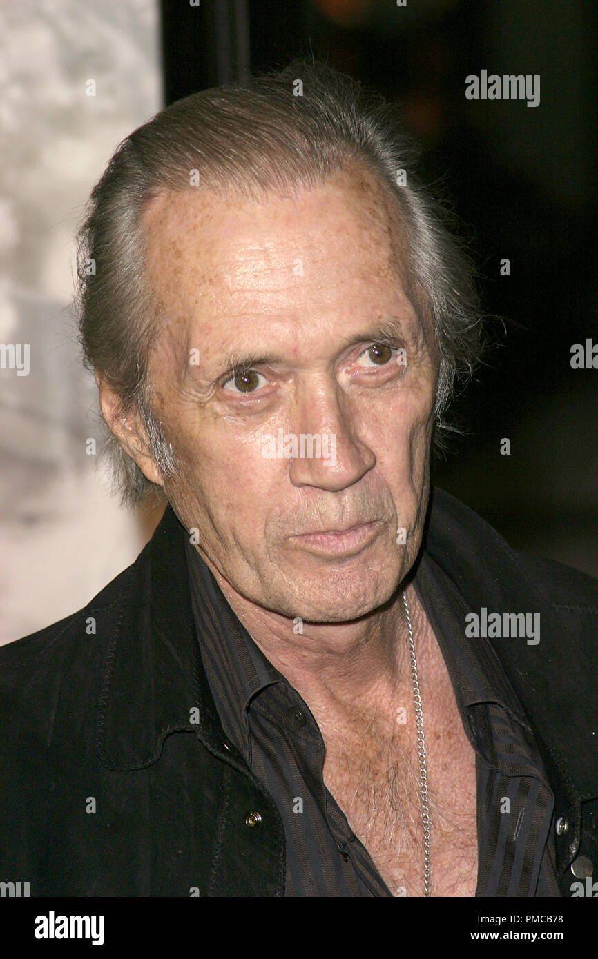 Kennedy Shields's Instagram, Twitter & Facebook on IDCrawl