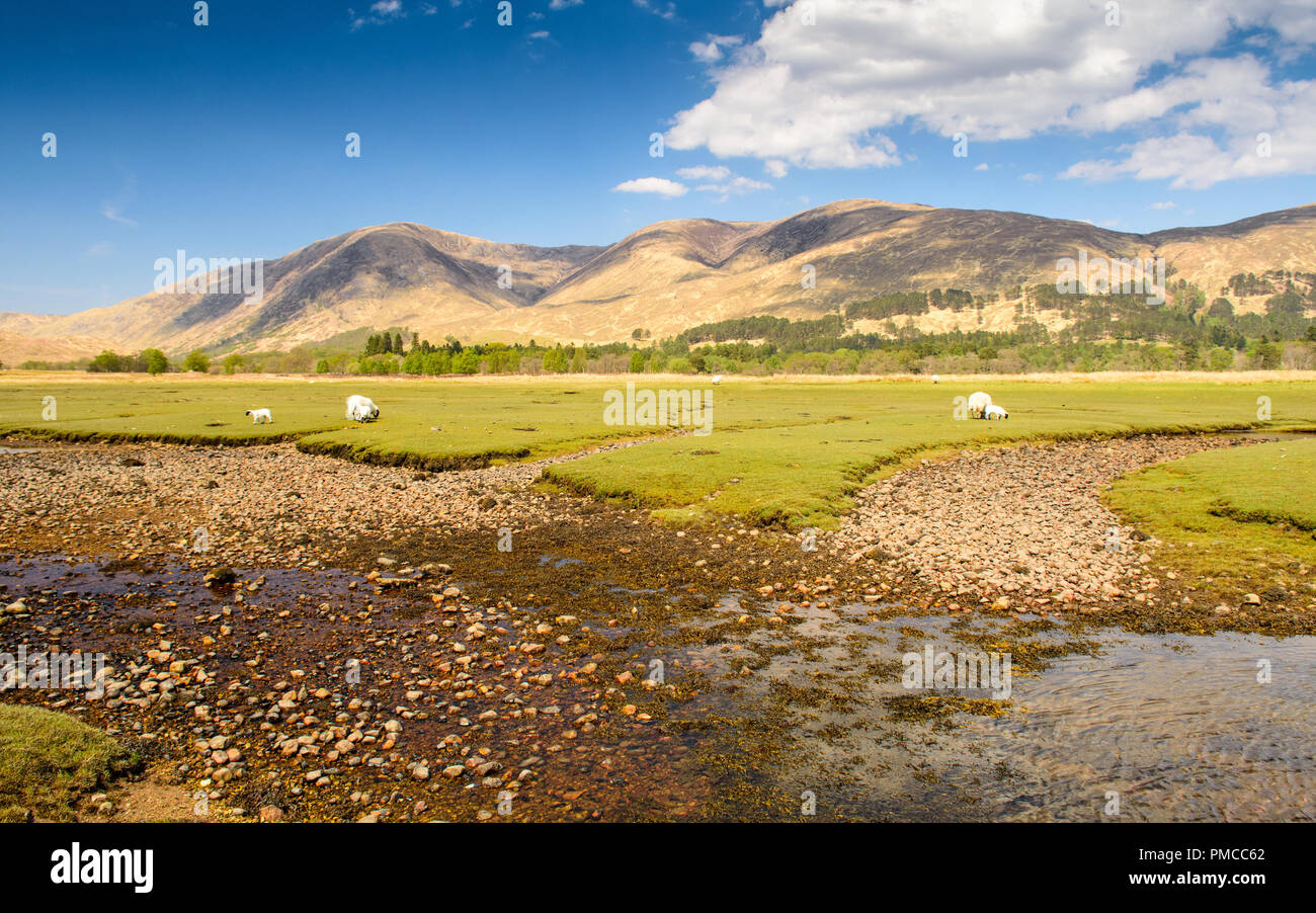 Scottish landscape with farm and river hi-res stock photography and ...