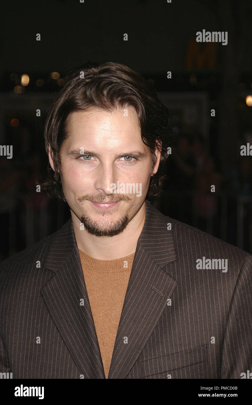 "Babel" (Premiere) Peter Facinelli 11-5-2006 / Mann Village / Westwood ...