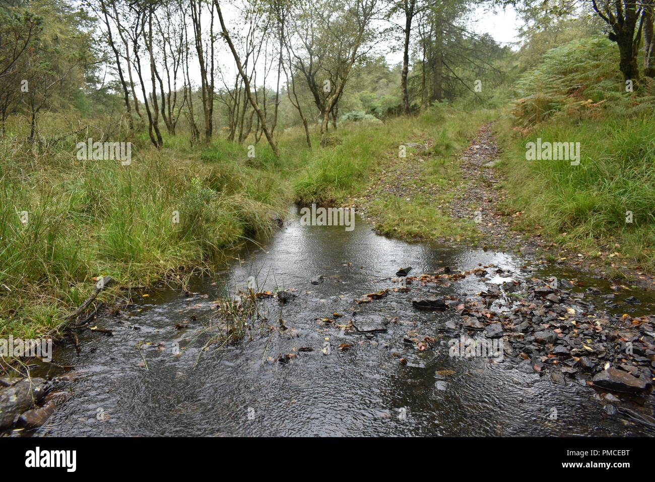 Country stream hi-res stock photography and images - Alamy