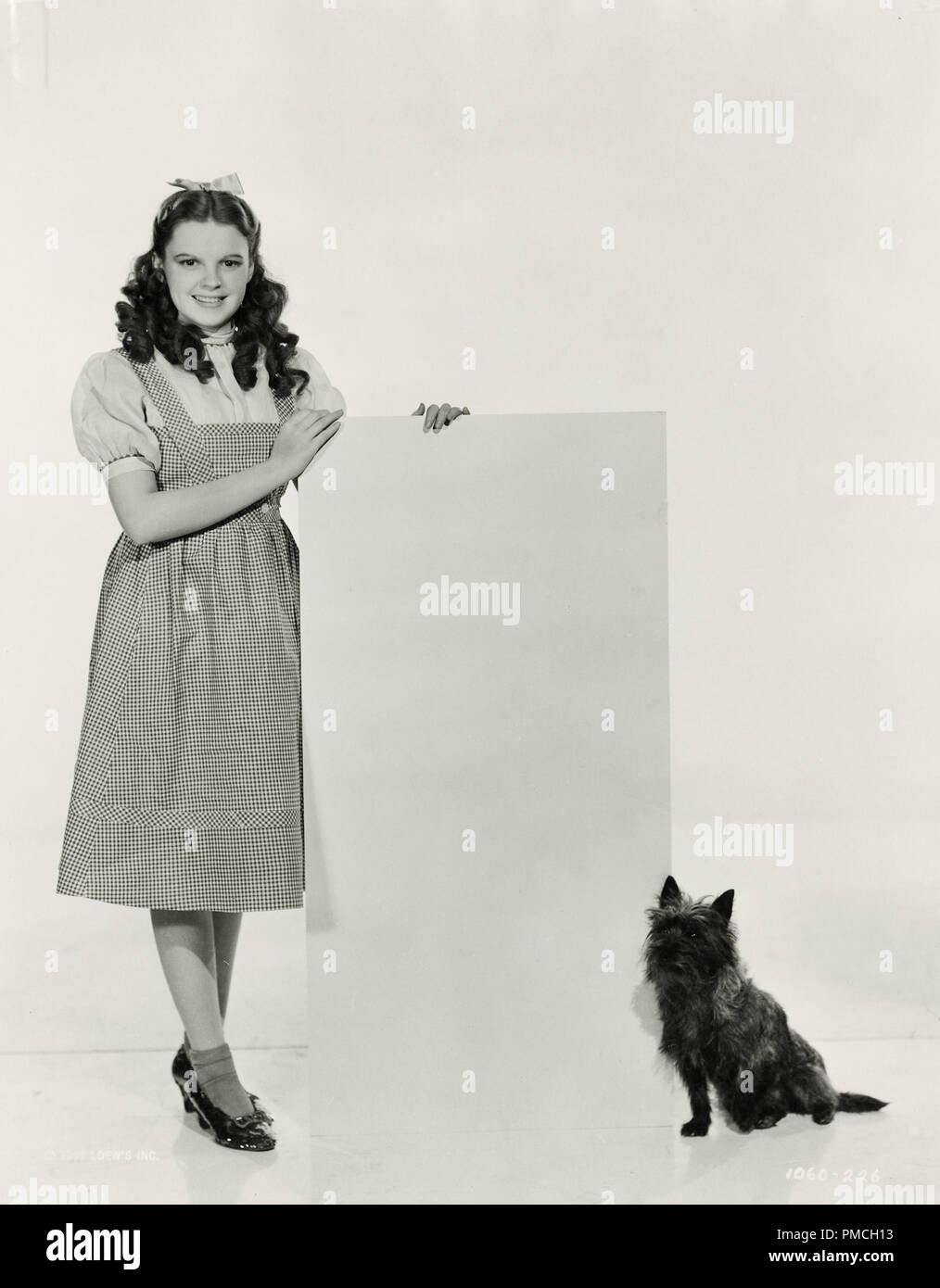 Judy Garland Toto In The Wizard Of Oz Mgm 1939 Photo By Clarence Sinclair Bull File