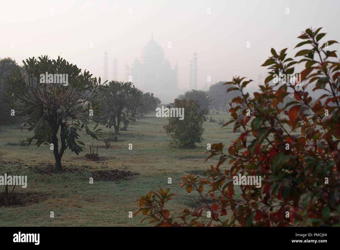 Mehtab Bagh High Resolution Stock Photography and Images - Alamy