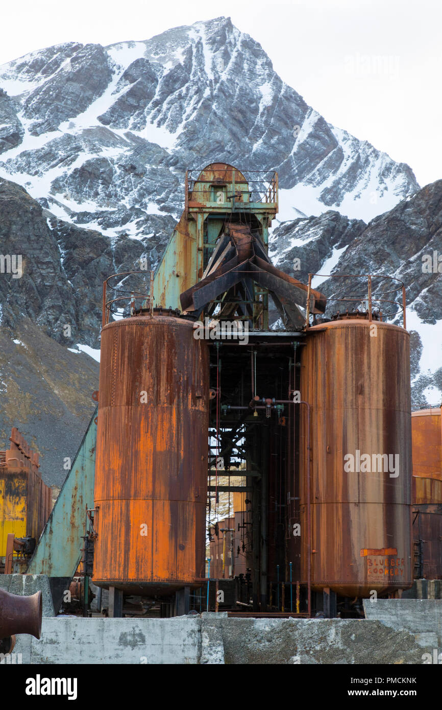 Grytviken, South Georgia, Antarctica Stock Photo - Alamy