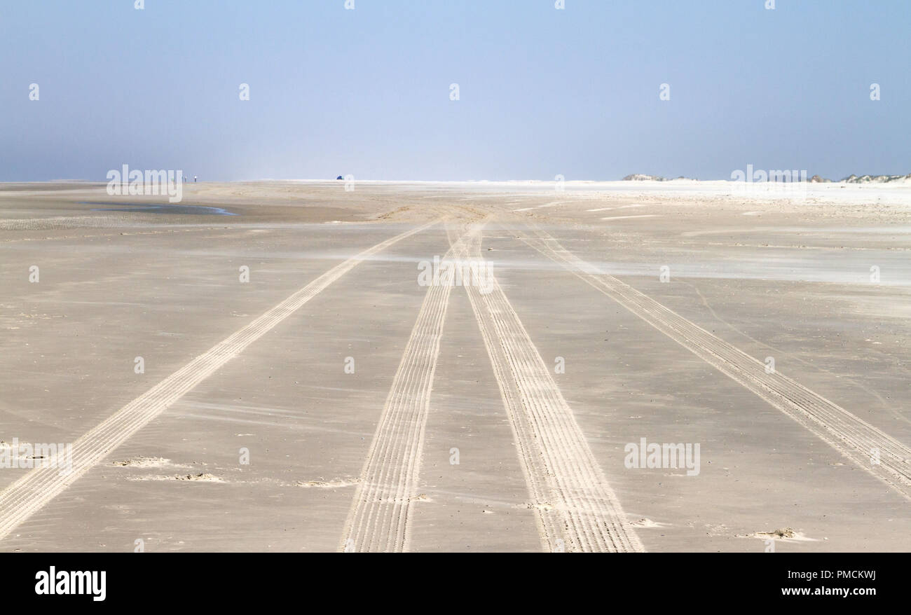 Tire tracks on the sand background, dutch beach Stock Photo - Alamy