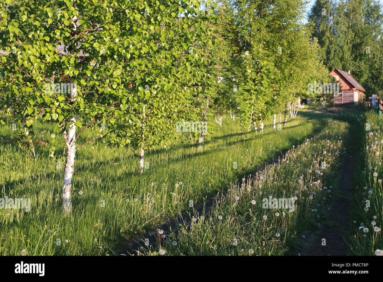 farm in nature outdoor Stock Photo - Alamy