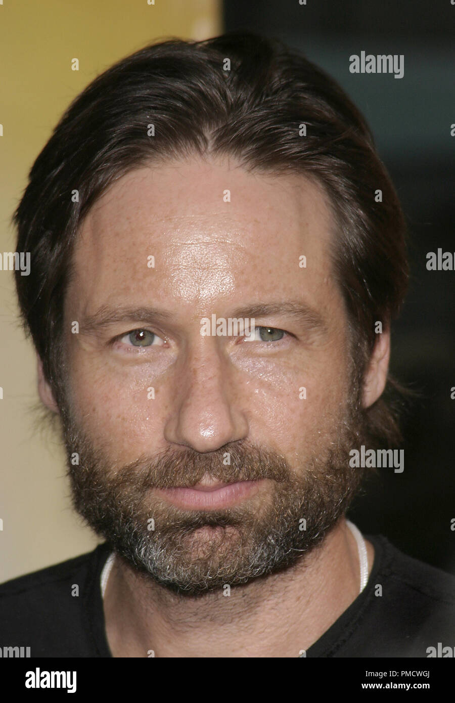 "The 40 Year-Old Virgin" (Premiere) David Duchovny 08-11-2005 ...