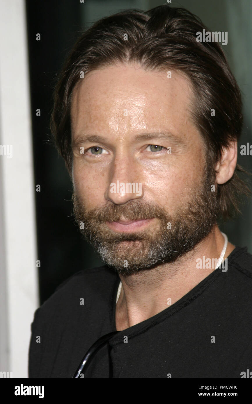 "The 40 Year-Old Virgin" (Premiere) David Duchovny 08-11-2005 ...