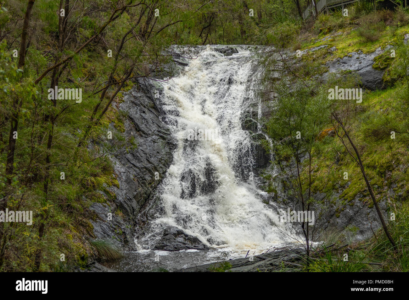 Pemberton Australia High Resolution Stock Photography and Images - Alamy