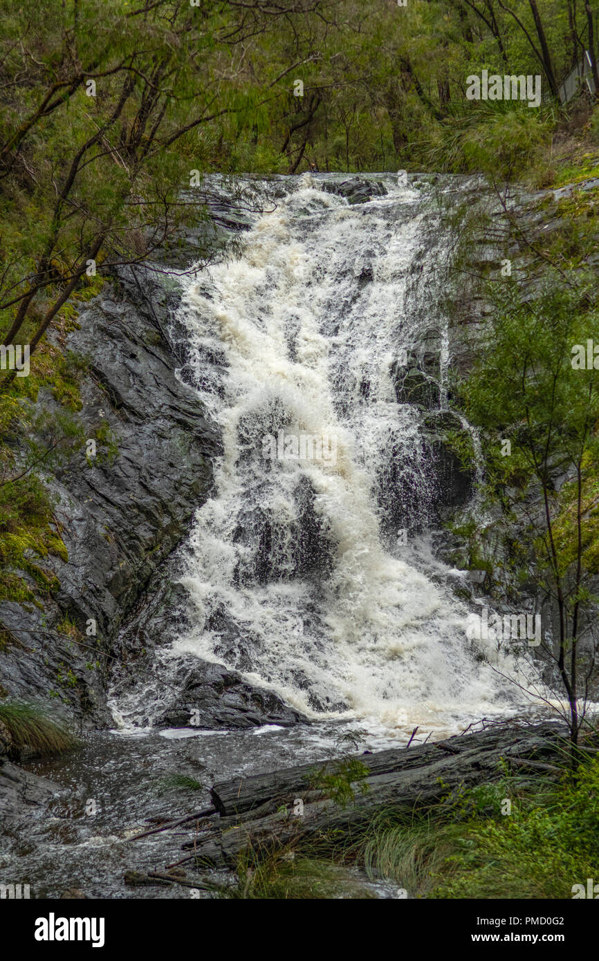 Beedelup falls western australia hi-res stock photography and images ...