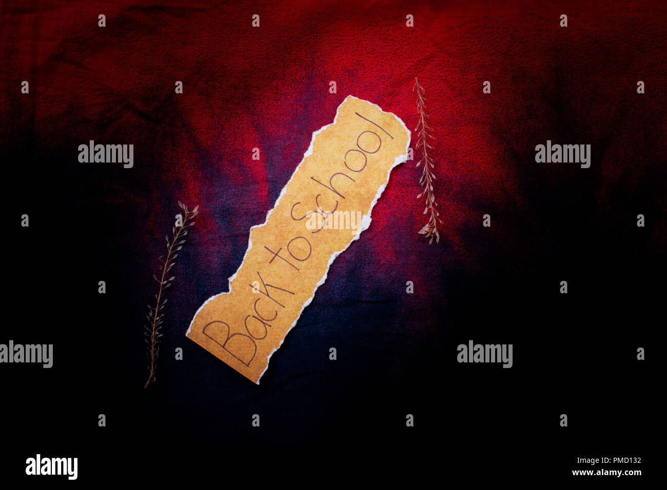 Back to school wording on a piece of torn paper Stock Photo - Alamy