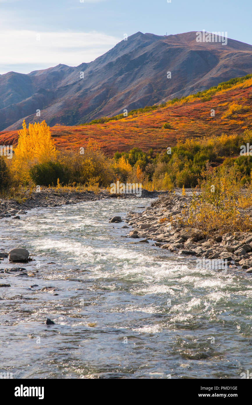 Autumn colors in the Brooks Range, Arctic Alaska Stock Photo - Alamy