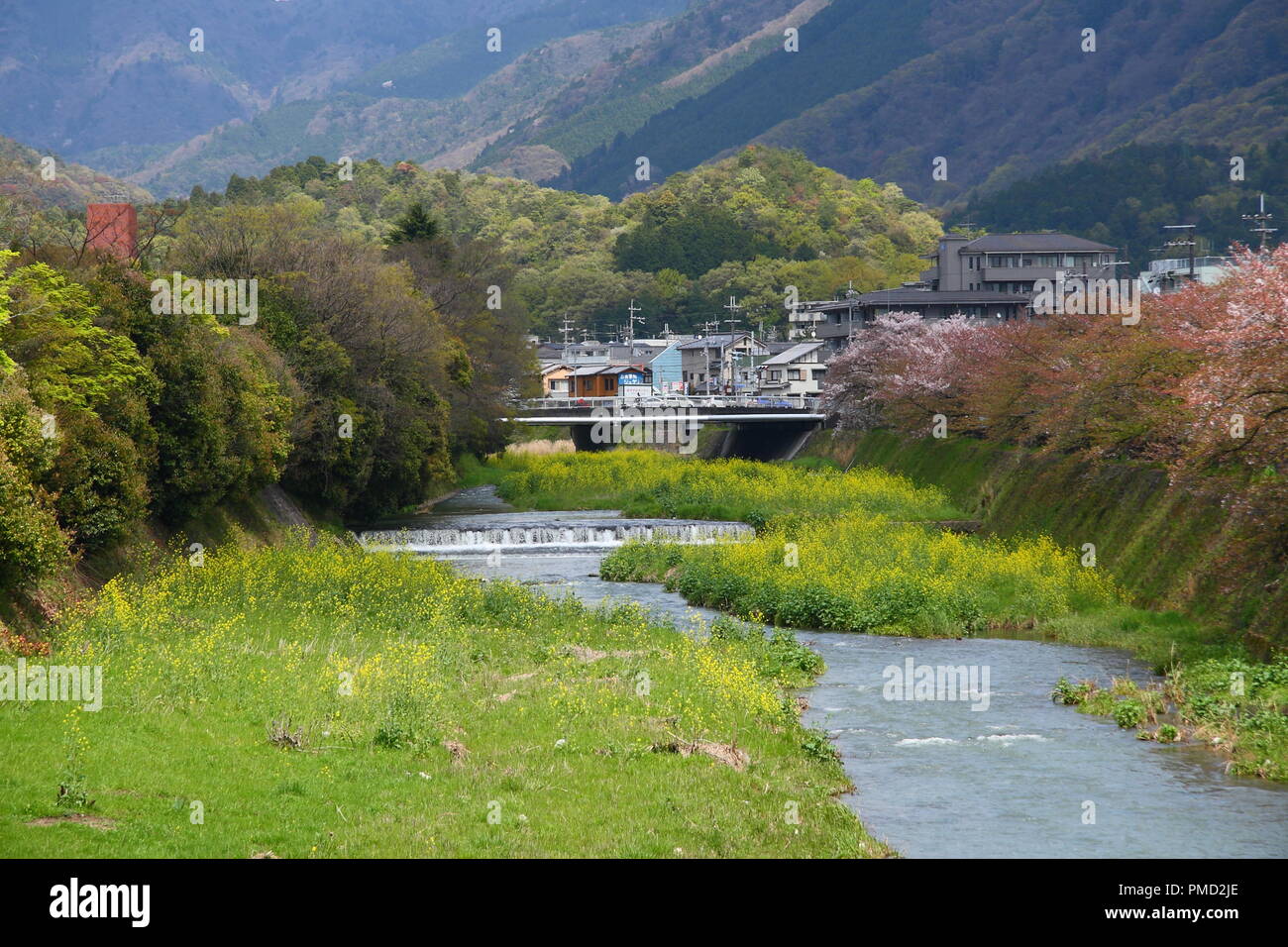 Kamo river in kyoto hi-res stock photography and images - Alamy