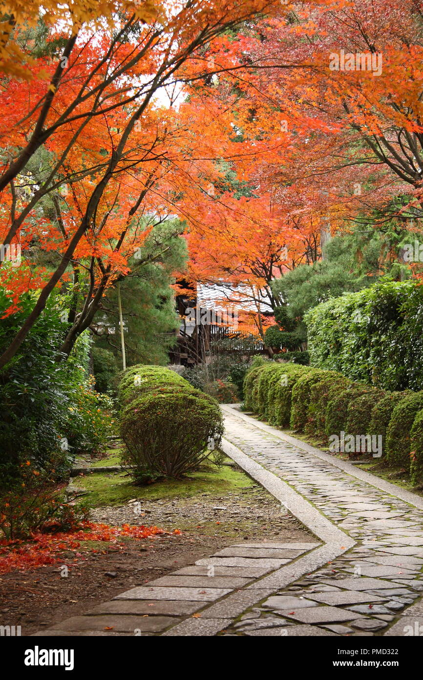 The fall season at in kyoto hi-res stock photography and images - Alamy