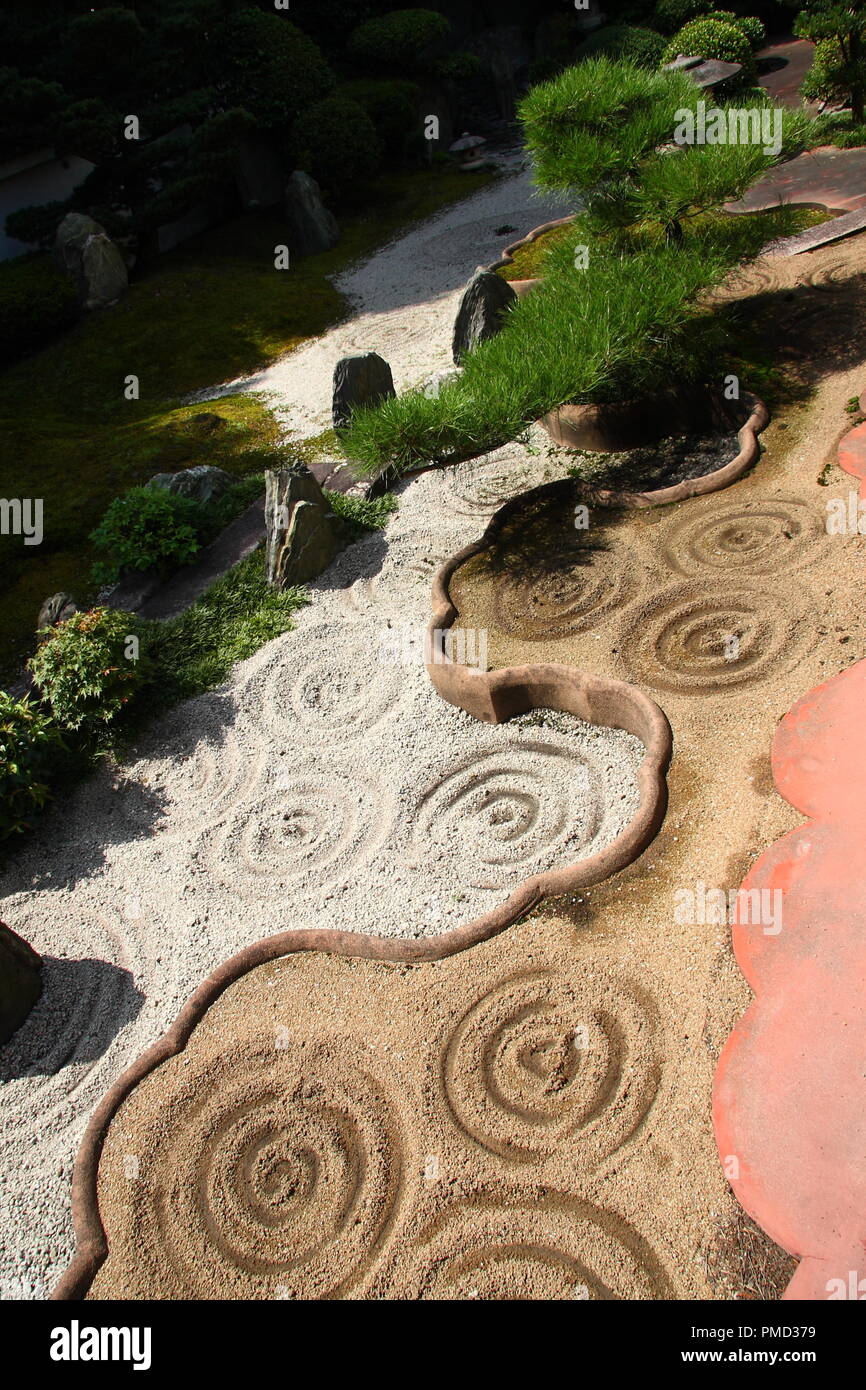 Japanese pine kyoto tree hi-res stock photography and images - Alamy