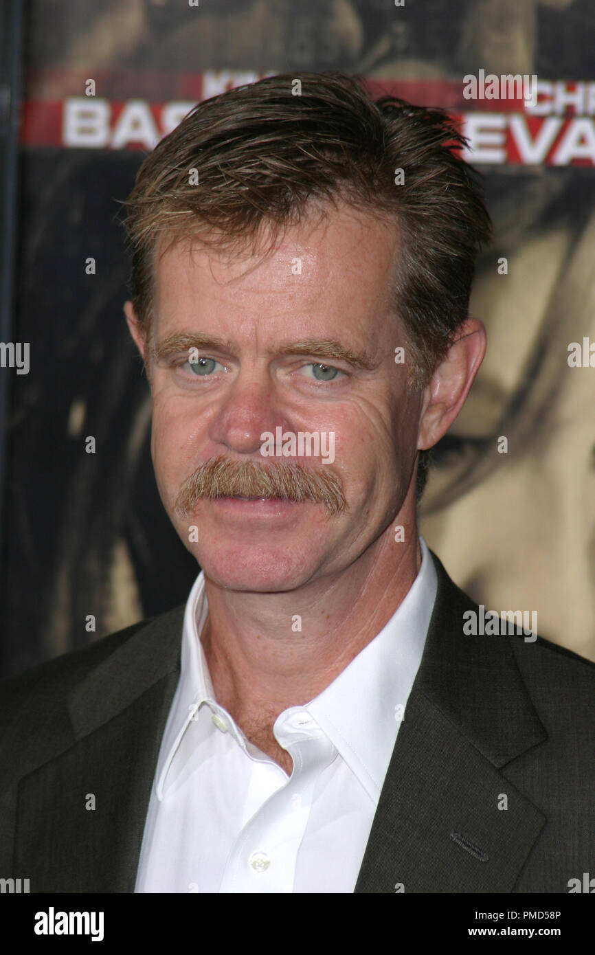 William H Macy Young