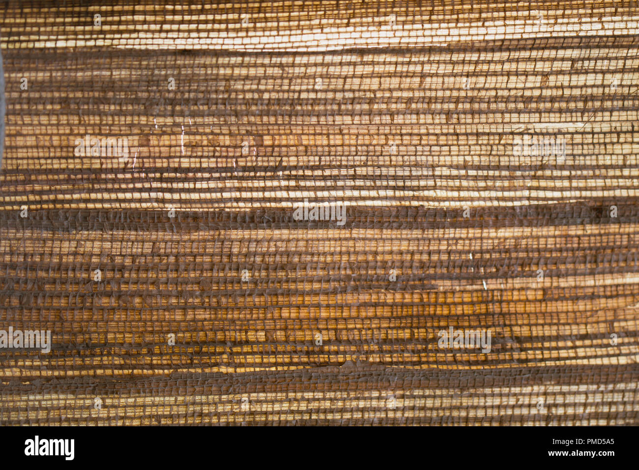 Close-up studio image of backlit handmade banana paper showing details ...