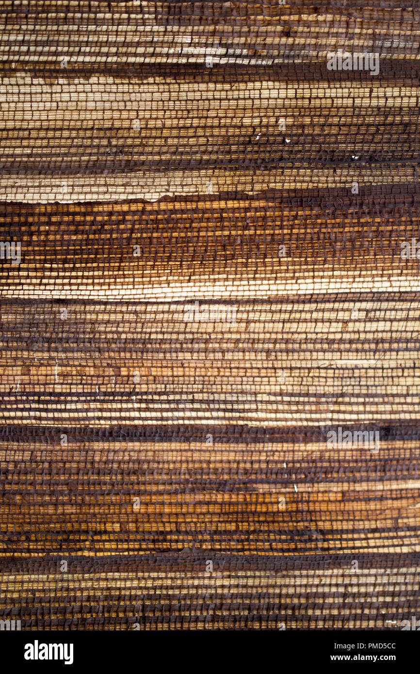 Close-up studio image of backlit handmade banana paper showing details ...