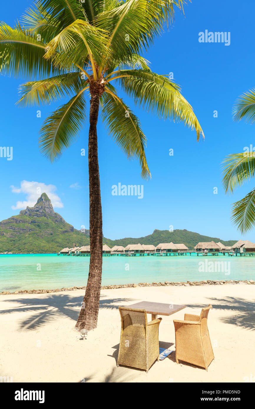 Table and two chairs under coconut palm tree on white sand beach with ...