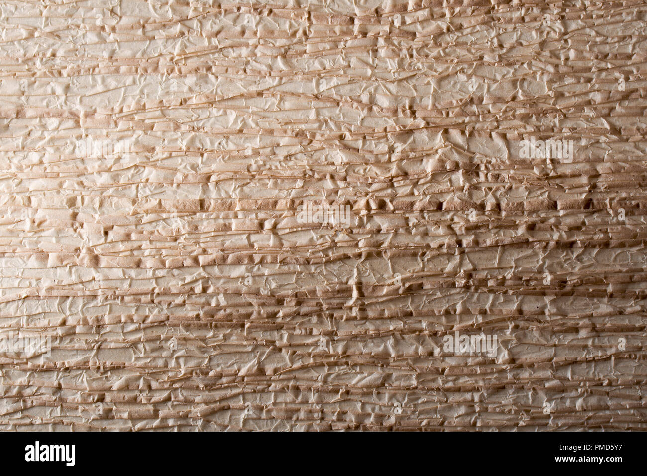 Close-up studio image of backlit handmade banana paper showing details ...