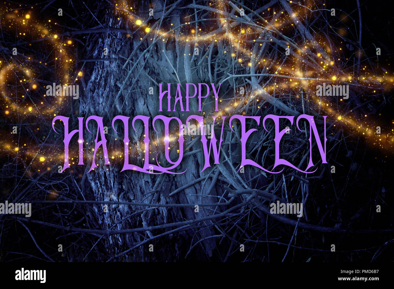 Halloween mysterious background of dark and haunted forest with text ...