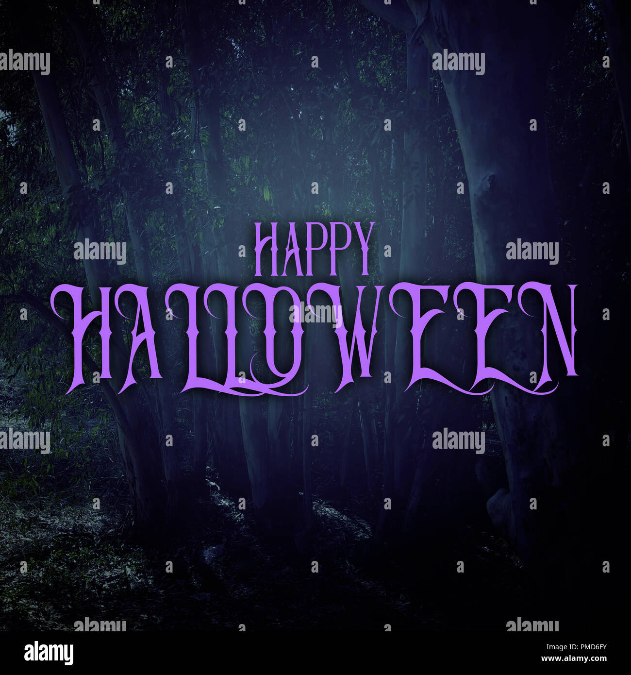Halloween mysterious background of dark and haunted forest with text ...