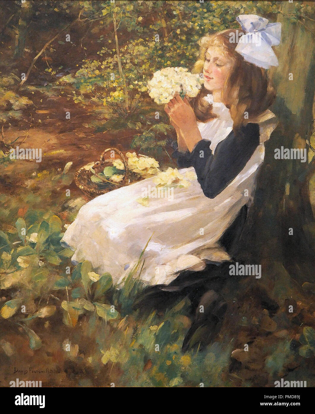 David fulton hi-res stock photography and images - Alamy