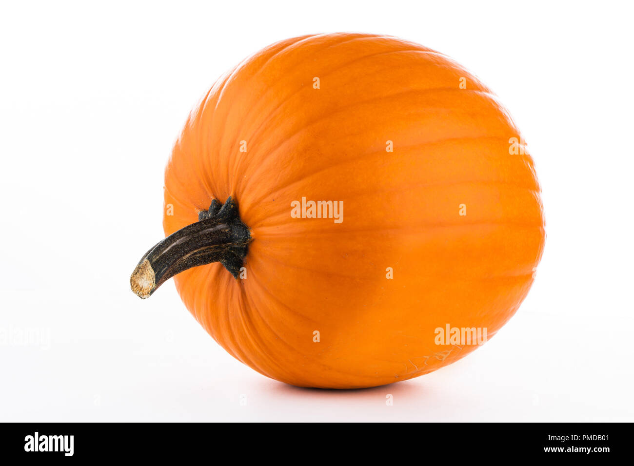 One perfect orange pumpkin isolated on white background , Halloween ...