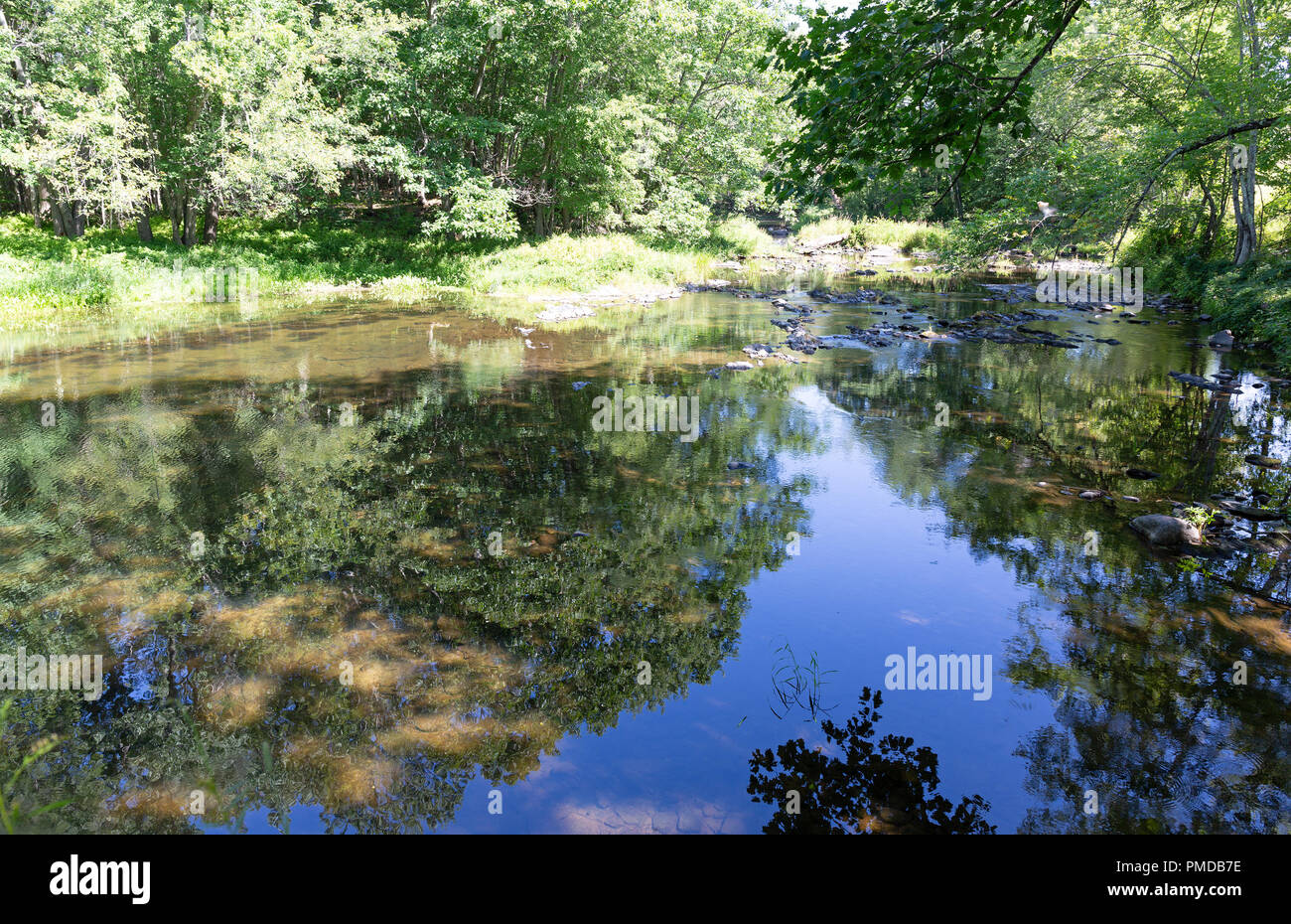 Reflection of blue sky and trees on the surface of Sandy Stream in ...