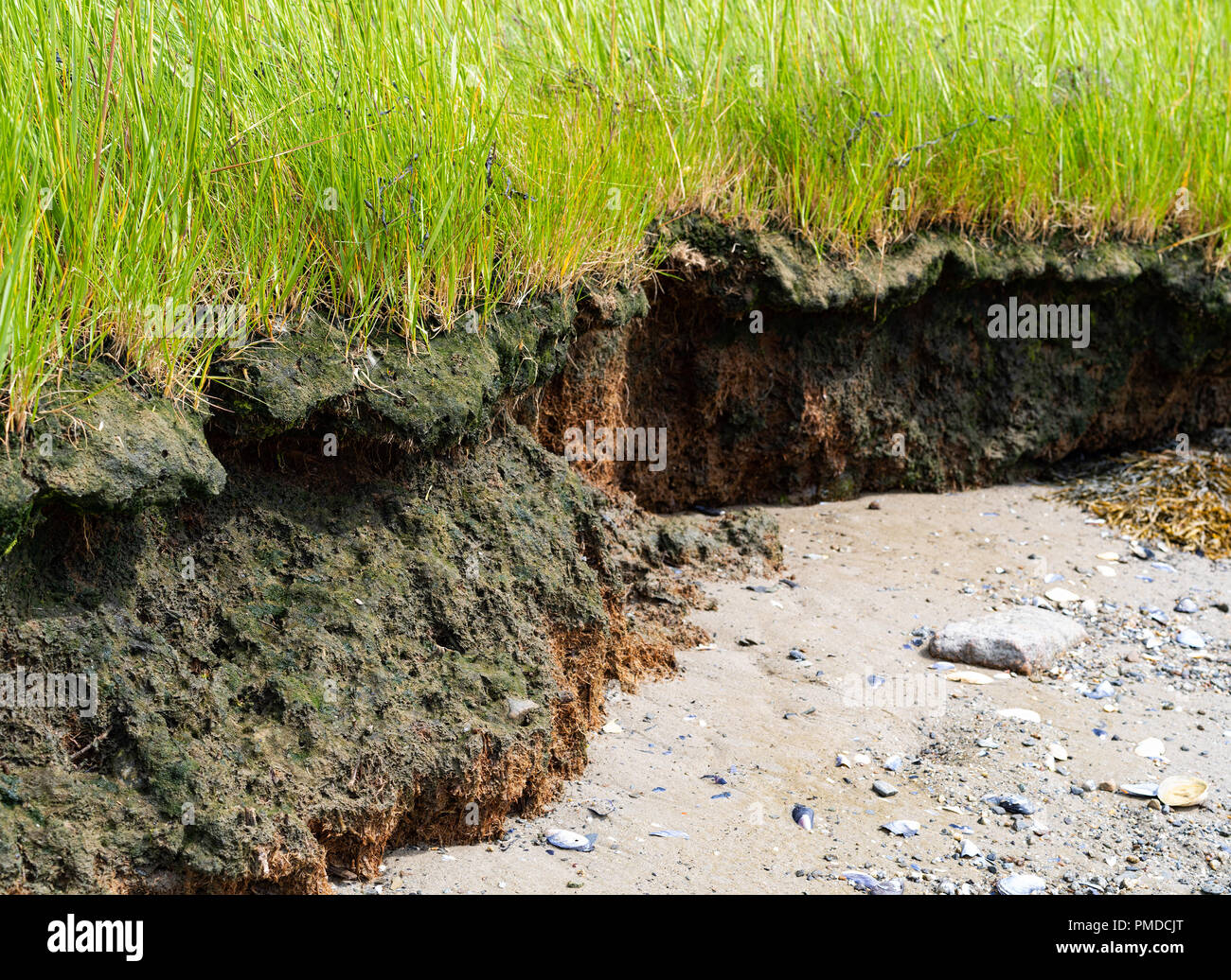 Erosion of topsoil hi-res stock photography and images - Alamy