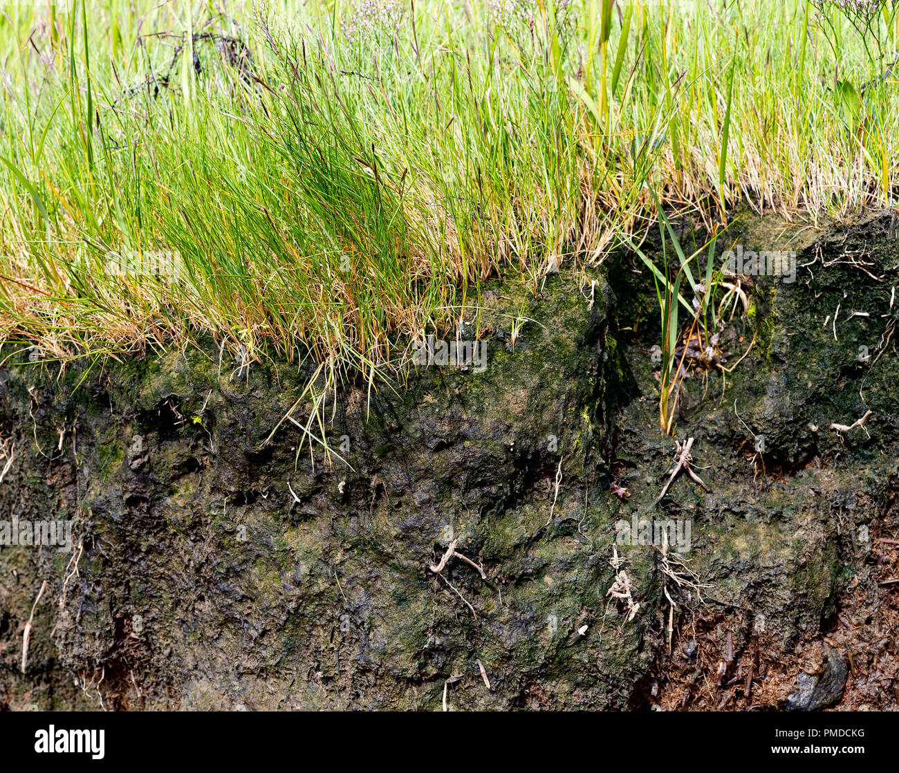 Topsoil erosion hi-res stock photography and images - Alamy
