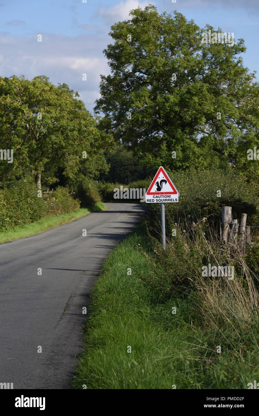 Red squirrel warning sign hi-res stock photography and images - Alamy