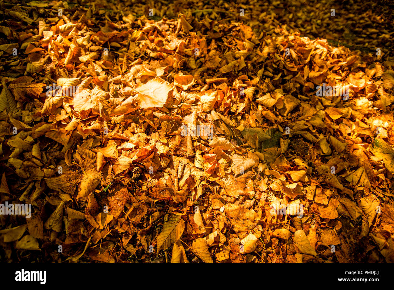 Filling format hi-res stock photography and images - Alamy