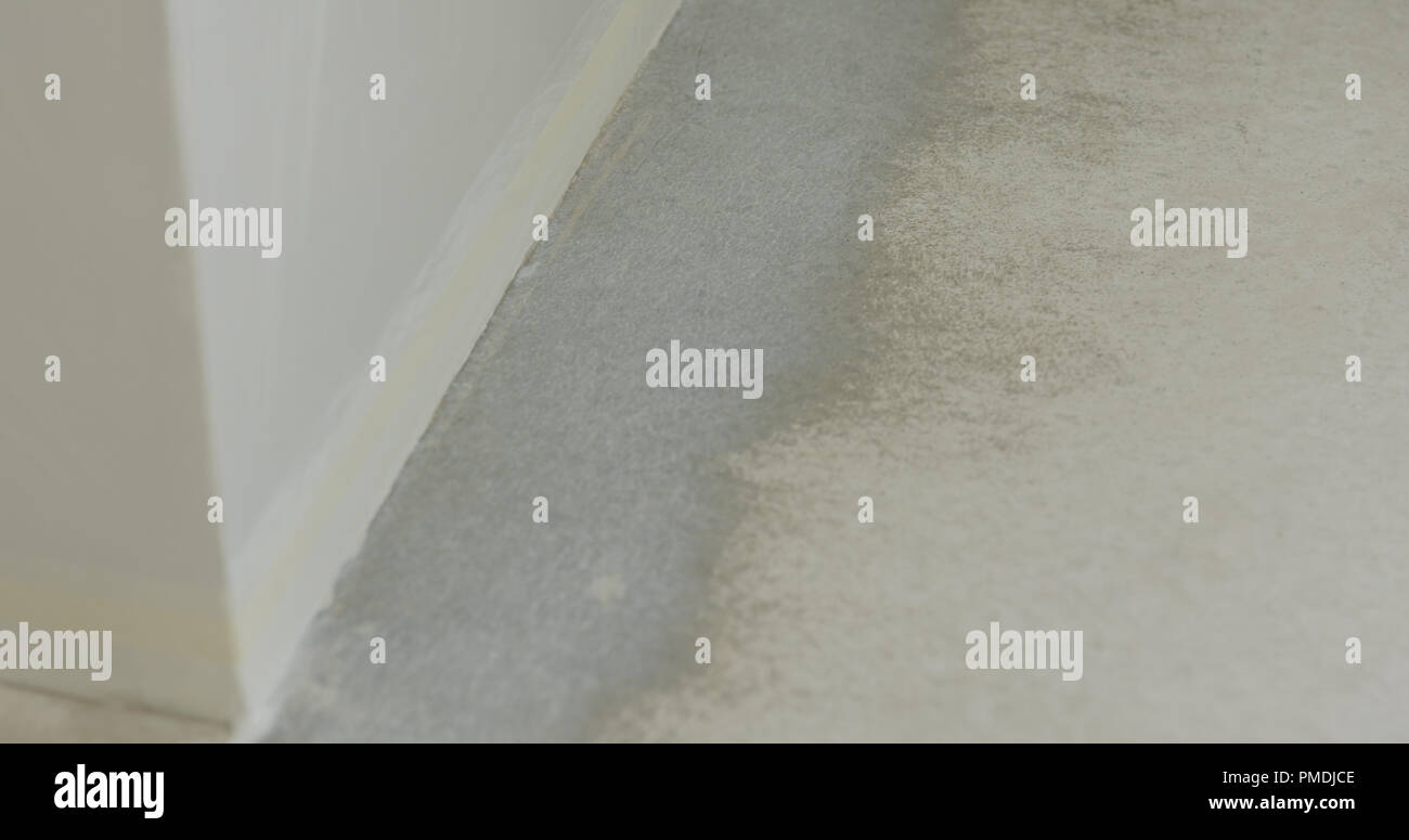 closeup applied primer on the floor Stock Photo - Alamy