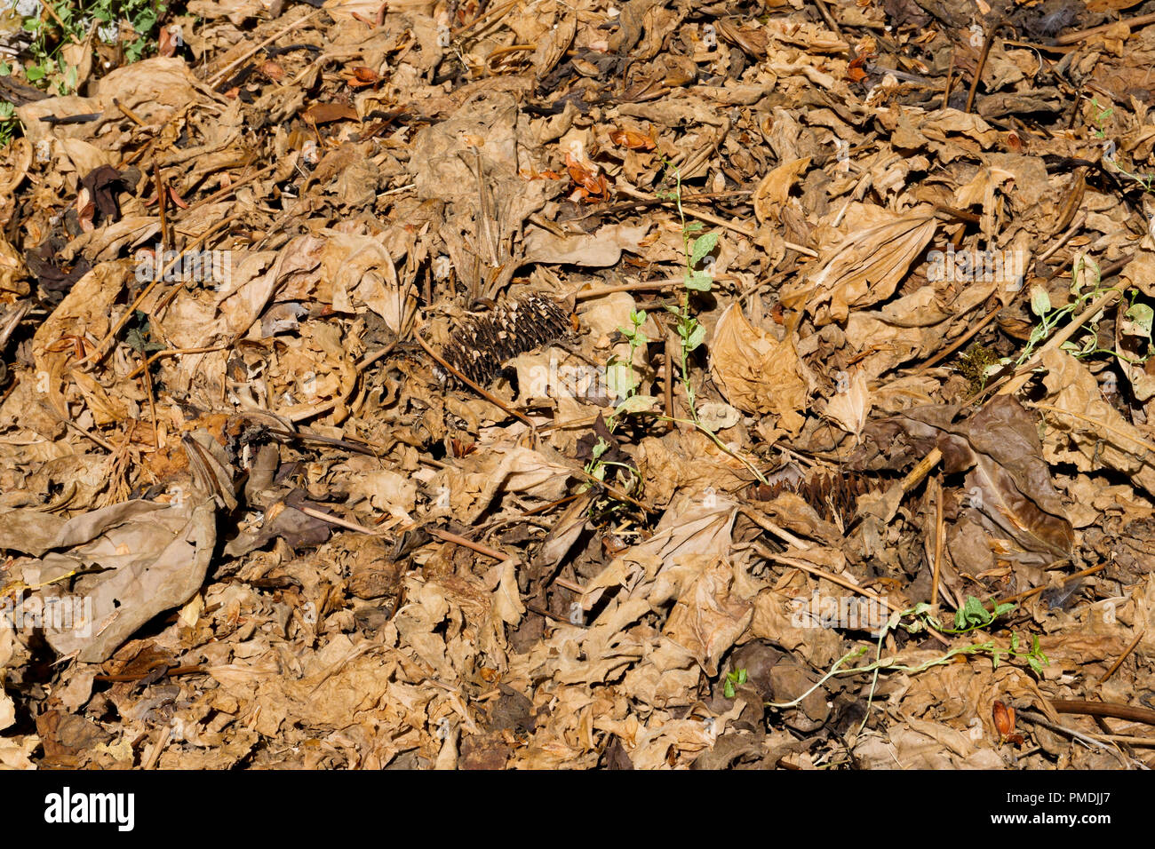 Produce compost hi-res stock photography and images - Alamy