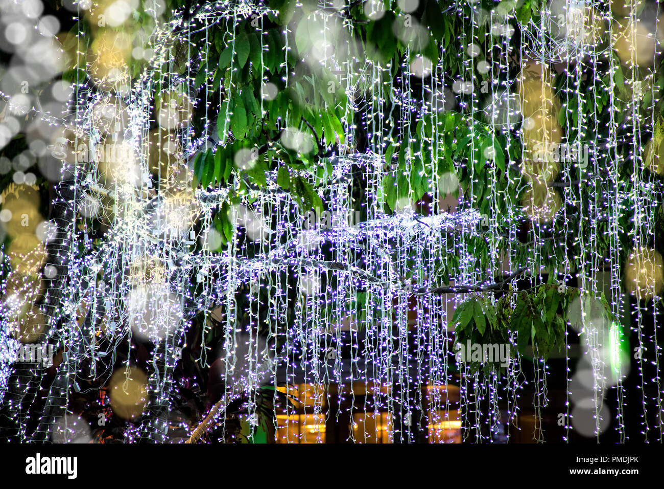 an image of shiny Christmas tree in Christmas time Stock Photo - Alamy