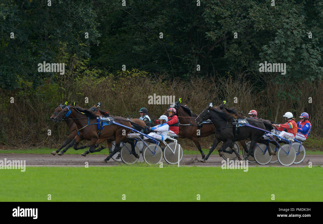 What Is A Horse Track Called