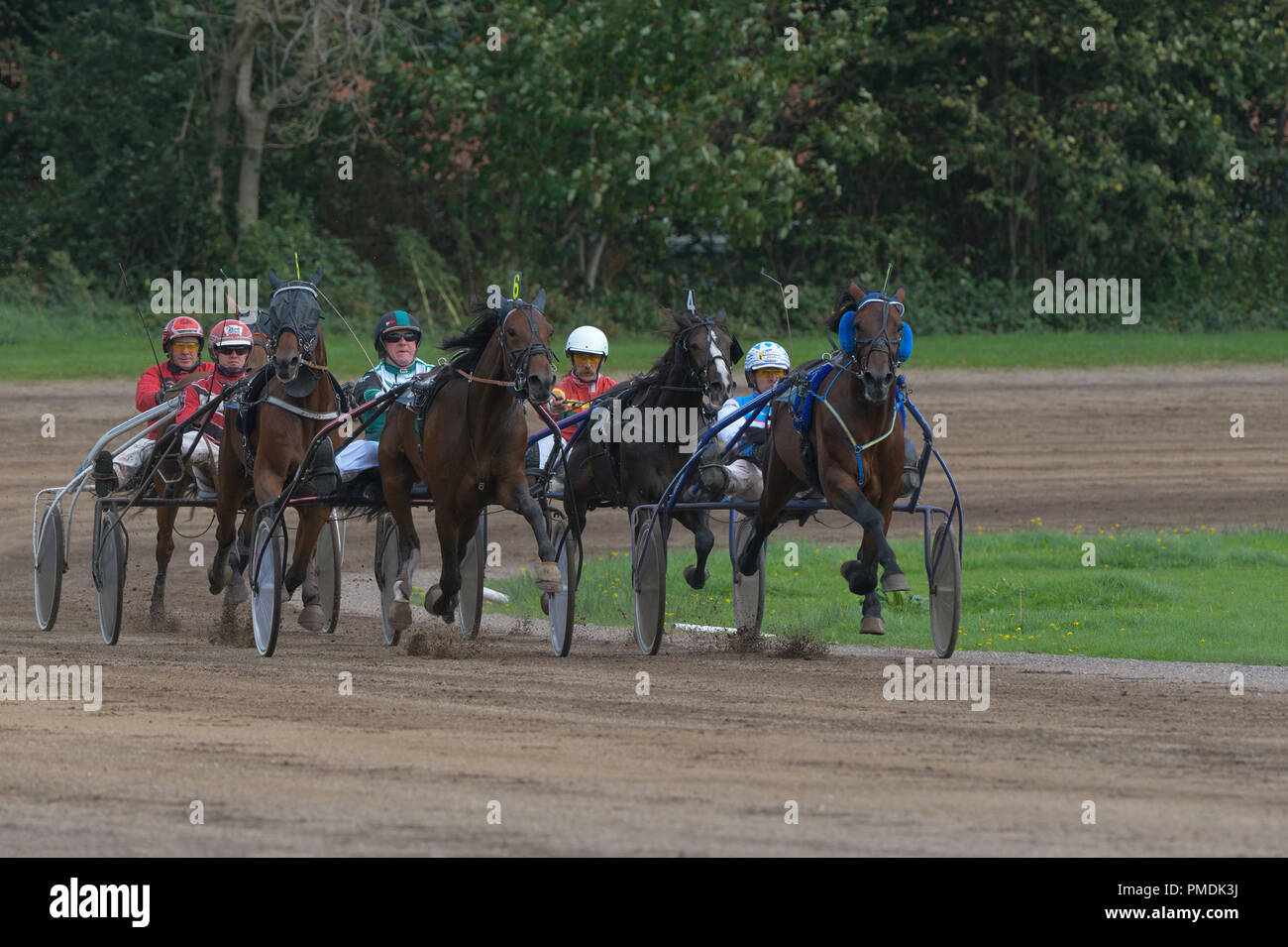 Harness racing for trotting horses, a horse race in which the horses ...