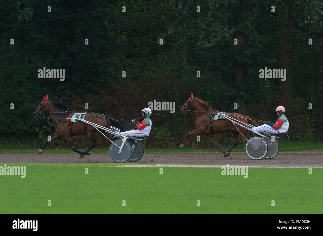 Harness racing for trotting horses, a horse race in which the horses ...