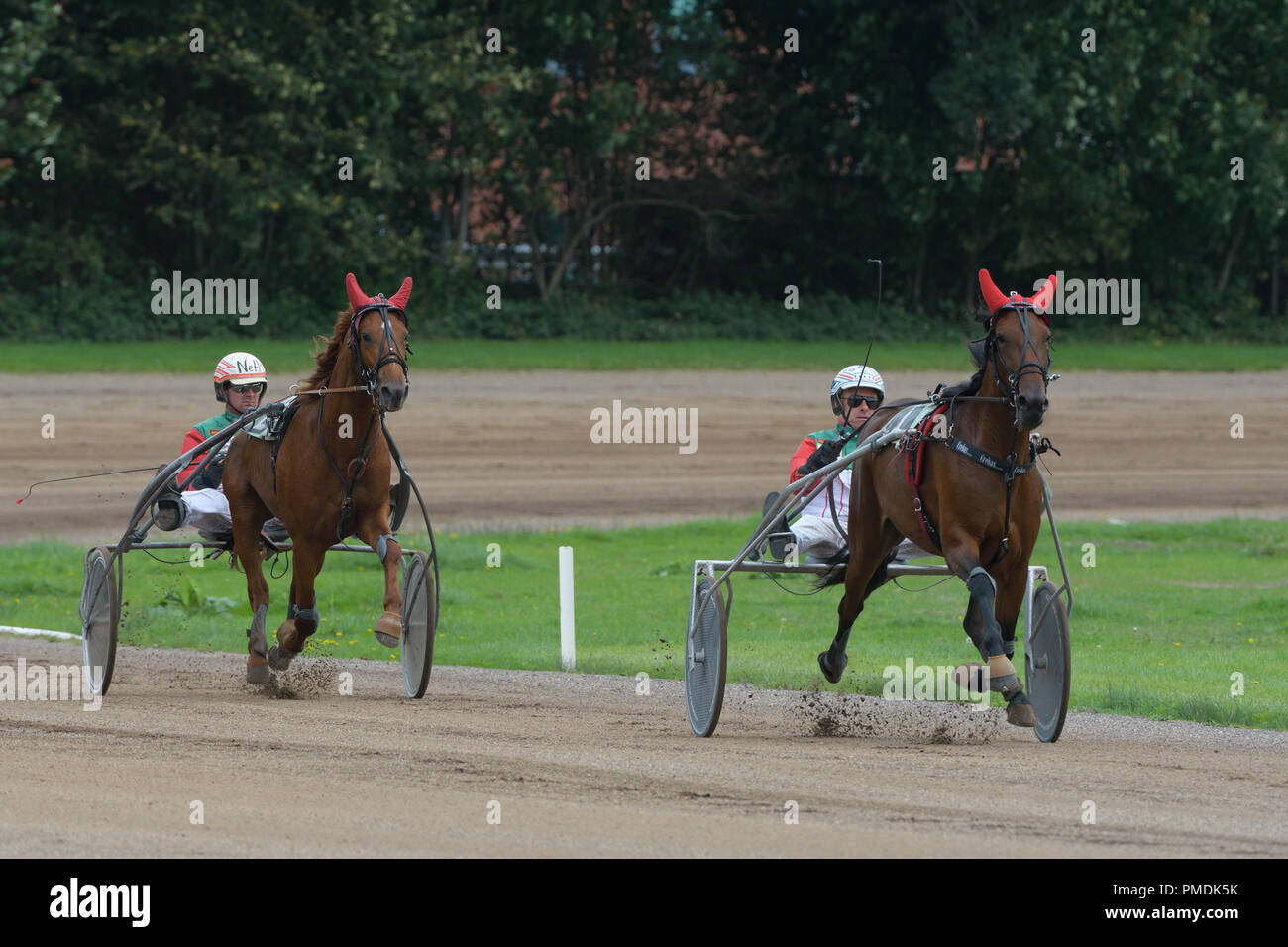 Harness racing for trotting horses, a horse race in which the horses ...