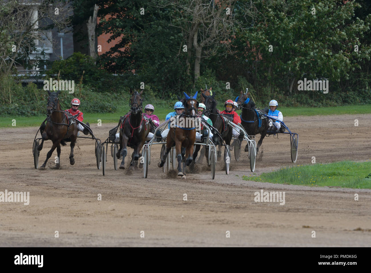 Horse Power Horses Trotter Trotting Racing Sulky High Resolution Stock ...